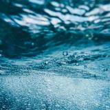 Human Research Ethics Committees | NHMRC